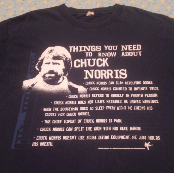 Alstyle | Shirts | Vtg Chuck Norris Shirt Large Vintage Rare Things You ...